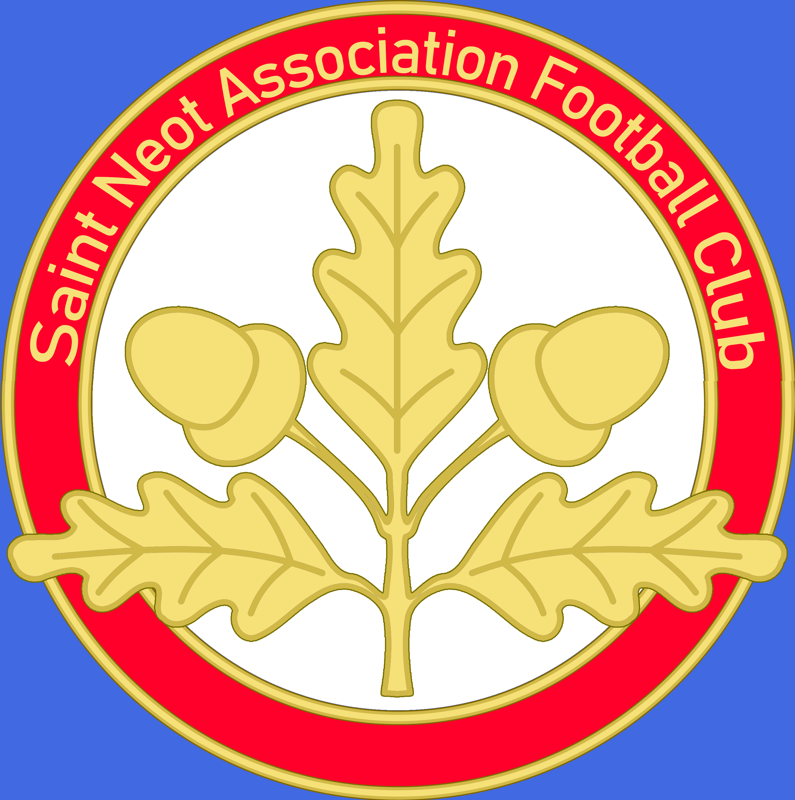 St Neot Football Club